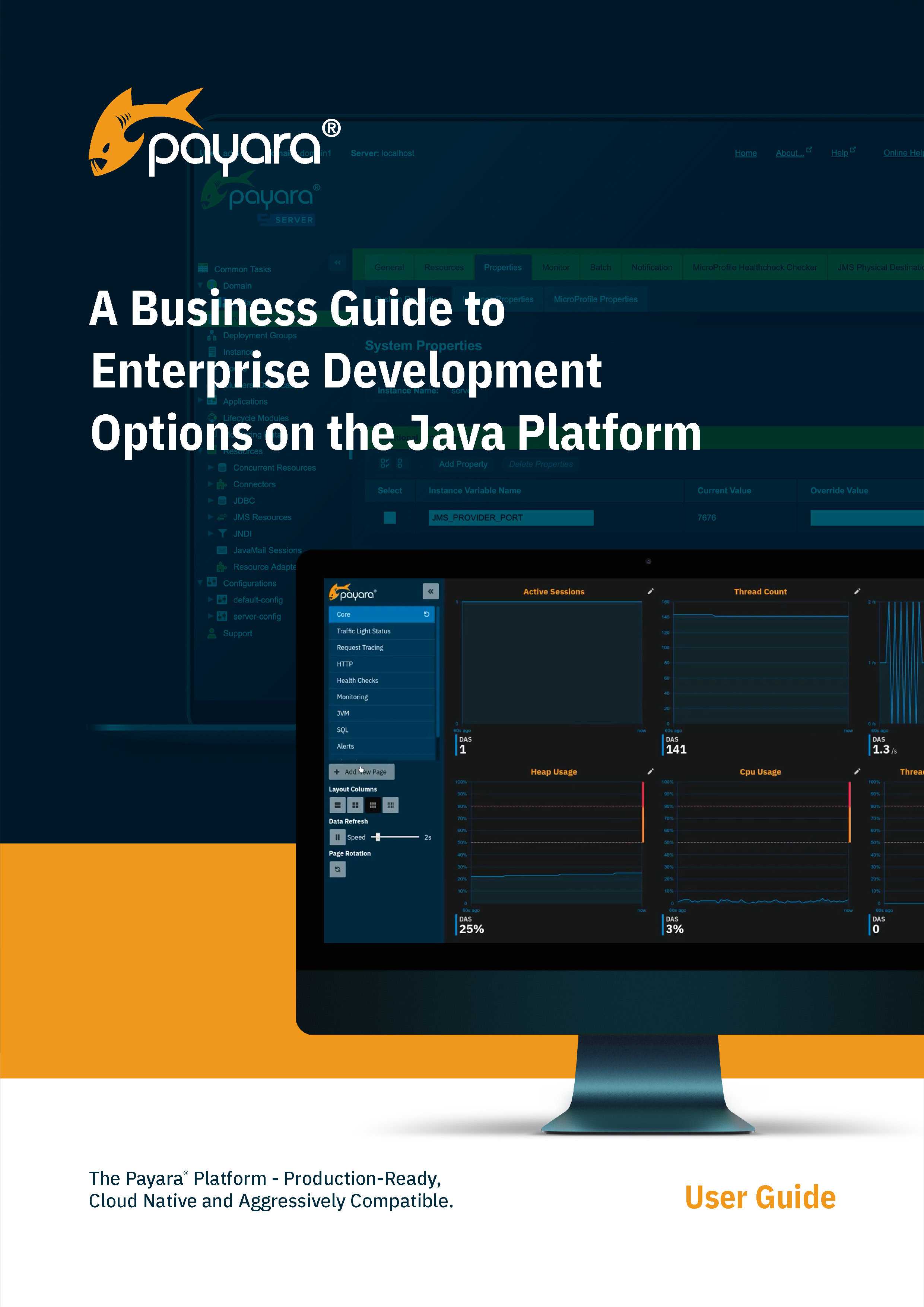 A Business Guide to Enterprise Development Options on the Java Platform A Business Guide to Enterprise Development Options on the Java Platform